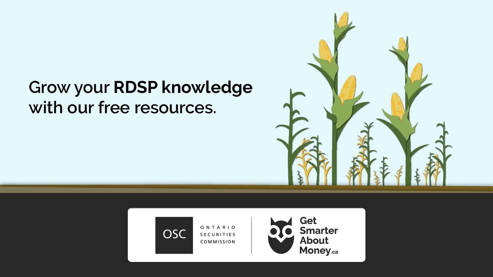 Government grants and bonds for an RDSP | GetSmarterAboutMoney.ca