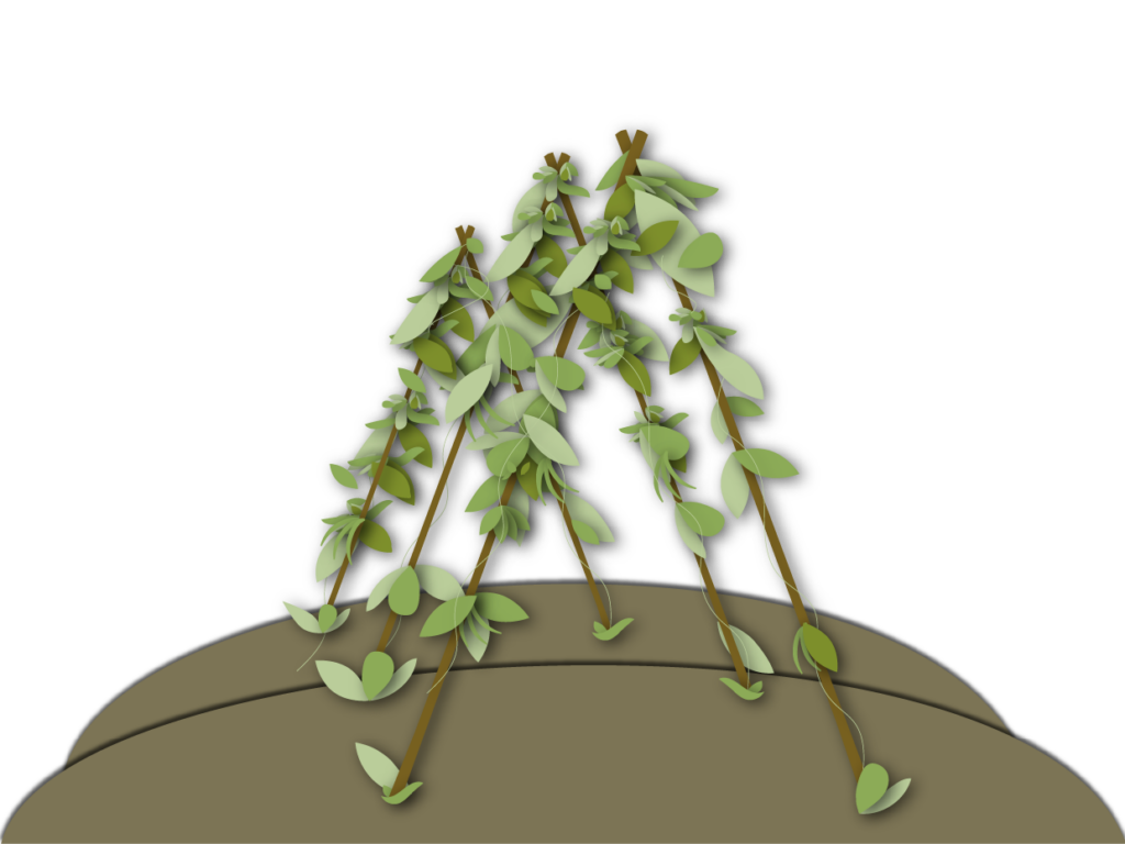 What is a TFSA and how does it work? | GetSmarterAboutMoney.ca